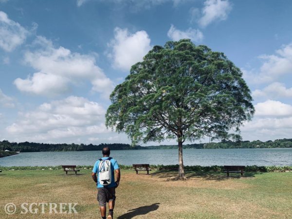 Chasing Sunset Walk (Northern Explorer Loop) | SGTREK