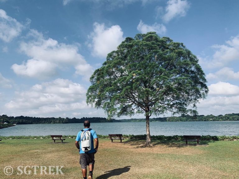 Chasing Sunset Walk (Northern Explorer Loop) | SGTREK