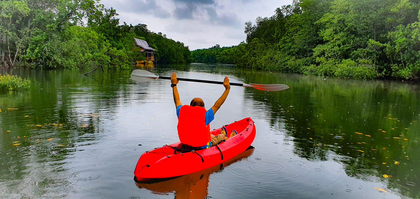 Anaya Mangrove Treehouse Retreat | SGTREK