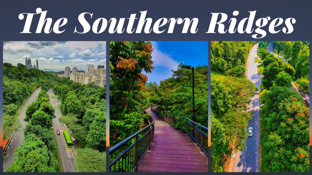 Training Hike : The Southern Ridges | SGTREK
