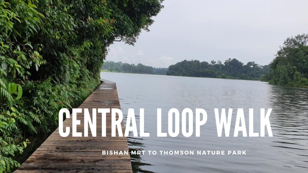 Central Loop Walk | SGTREK