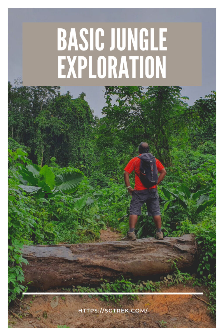 Basic Jungle Exploration | SGTREK