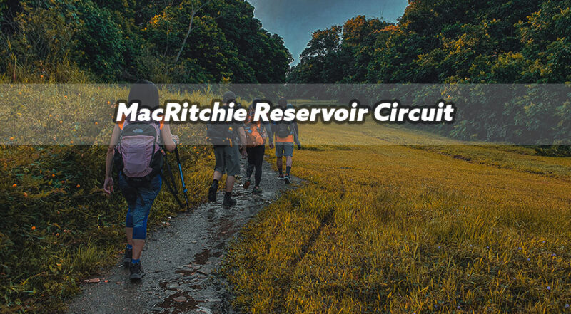 SGTREK TRAINING HIKES-MacRitchie Reservoir Circuit | SGTREK