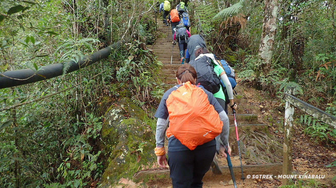 Mount Kinabalu : The Ultimate Guide | SGTREK
