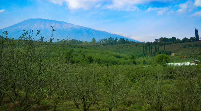 4D3N Mount Arjuno & Welirang Trekking Adventure 2025 | SGTREK